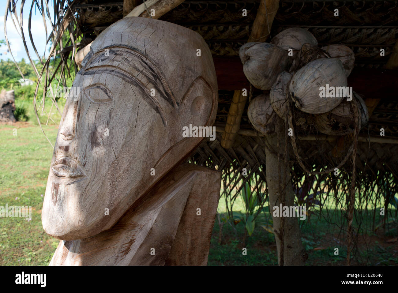 Aitutaki punani hi-res stock photography and images - Alamy