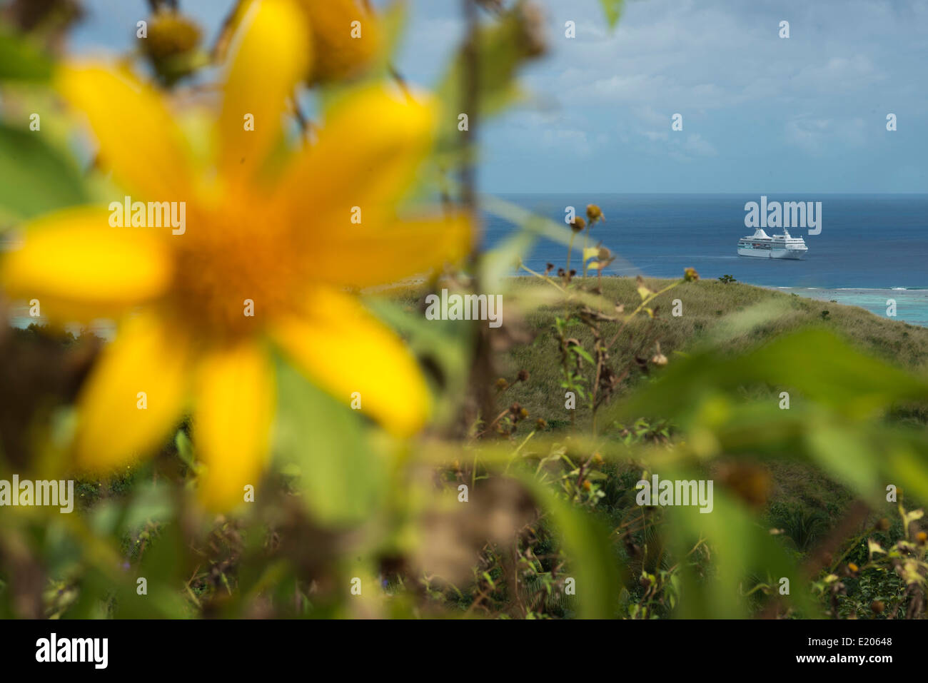 Aitutaki. Cook Island. Polynesia. South Pacific Ocean. Close-up of a ...