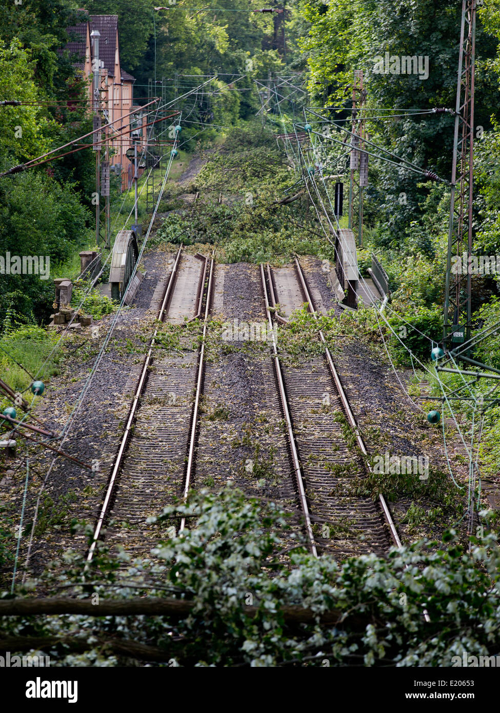 Bad Weather Uprooted Trees High Resolution Stock Photography and Images ...