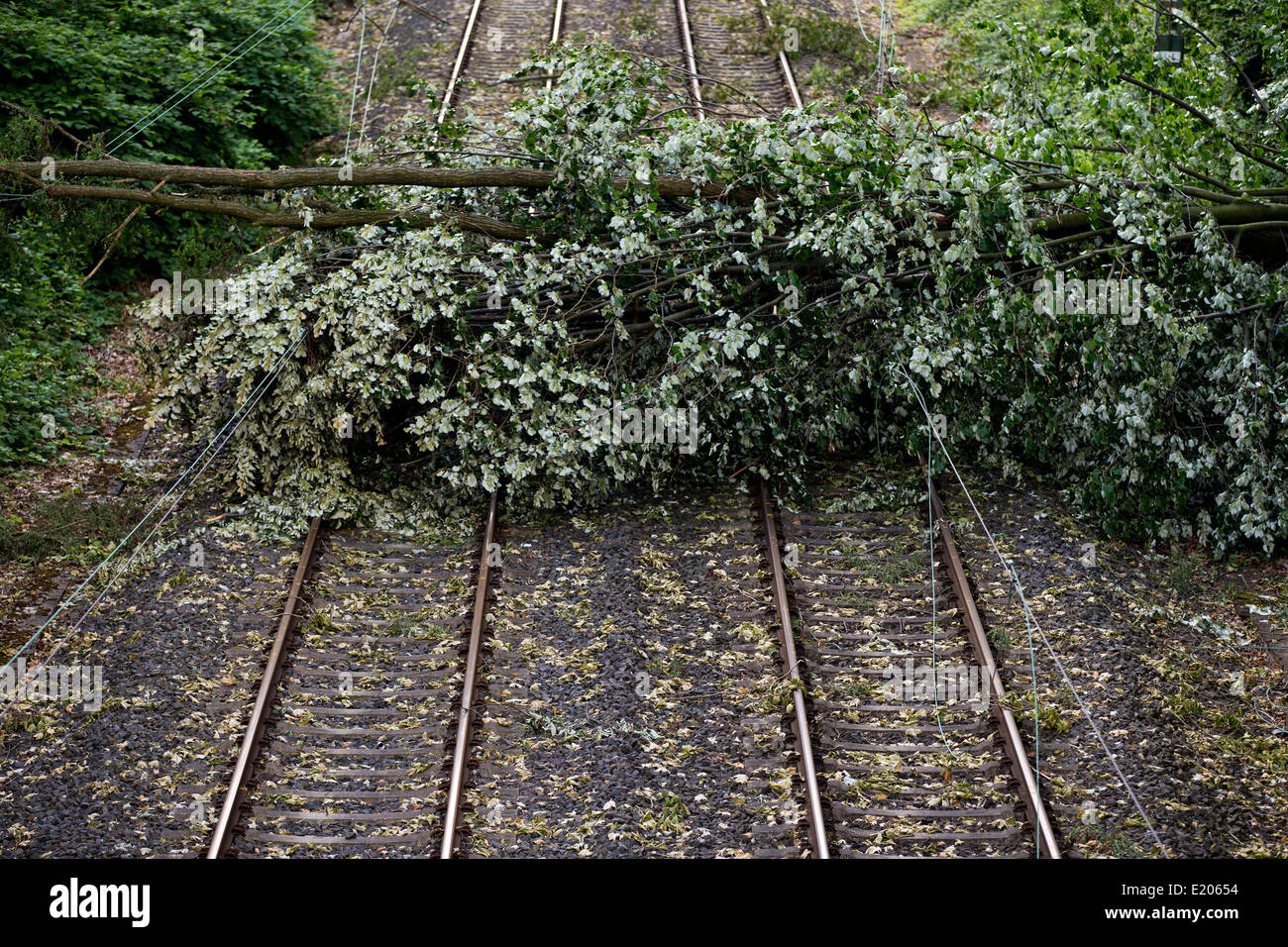 Essen, Germany. 12th June, 2014. Uprooted trees block train tracks in ...