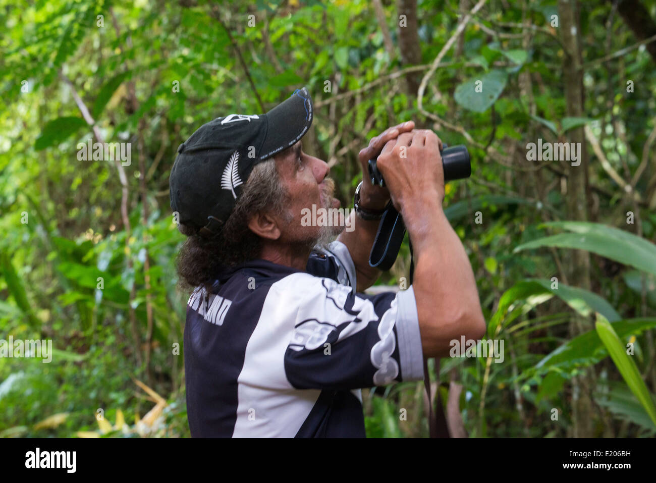 Atiu Island. Cook Island. Polynesia. South Pacific Ocean. Looking birds ...