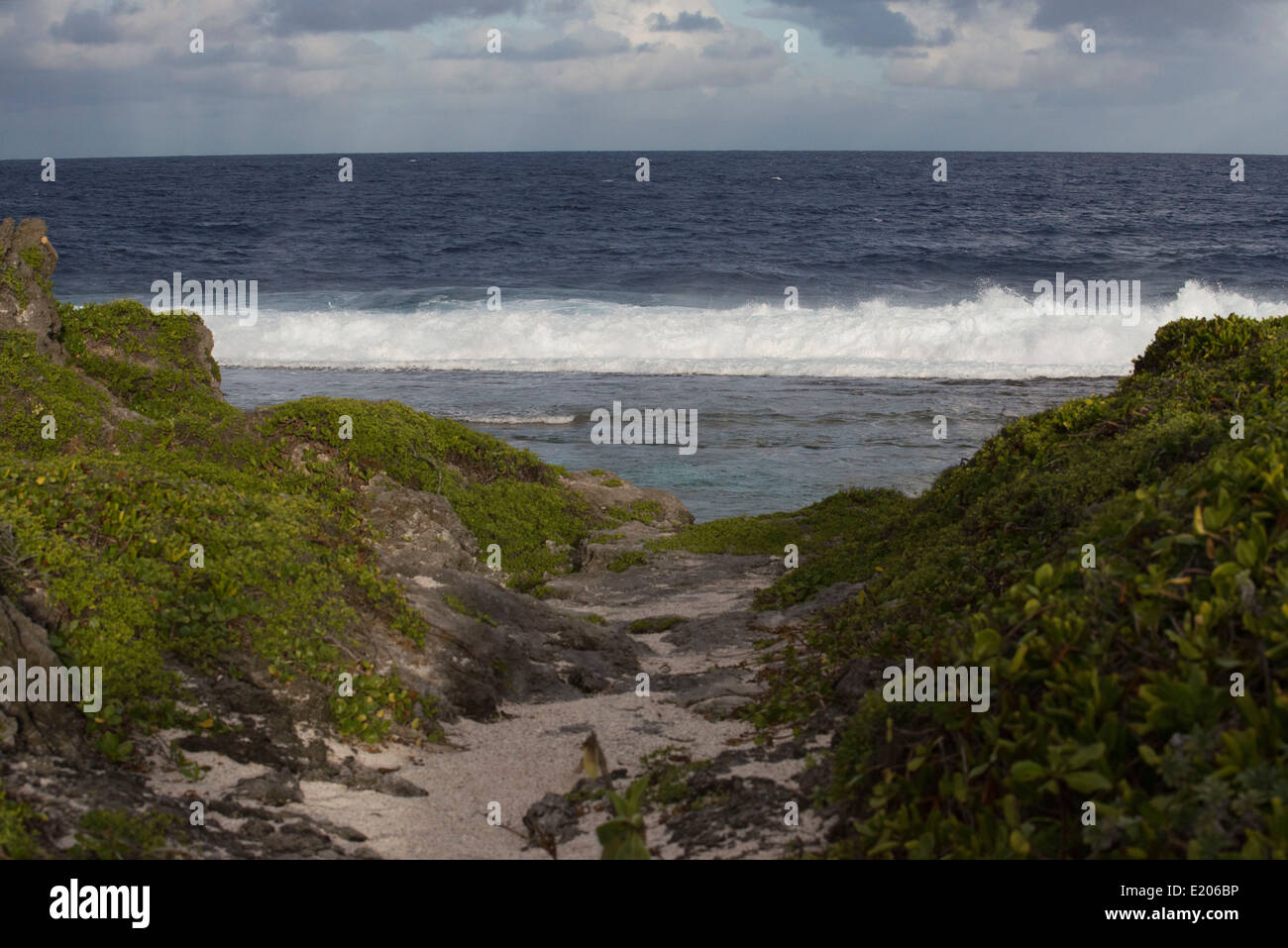 Atiu Island Cook Island Polynesia South Pacific Ocean Beach Near