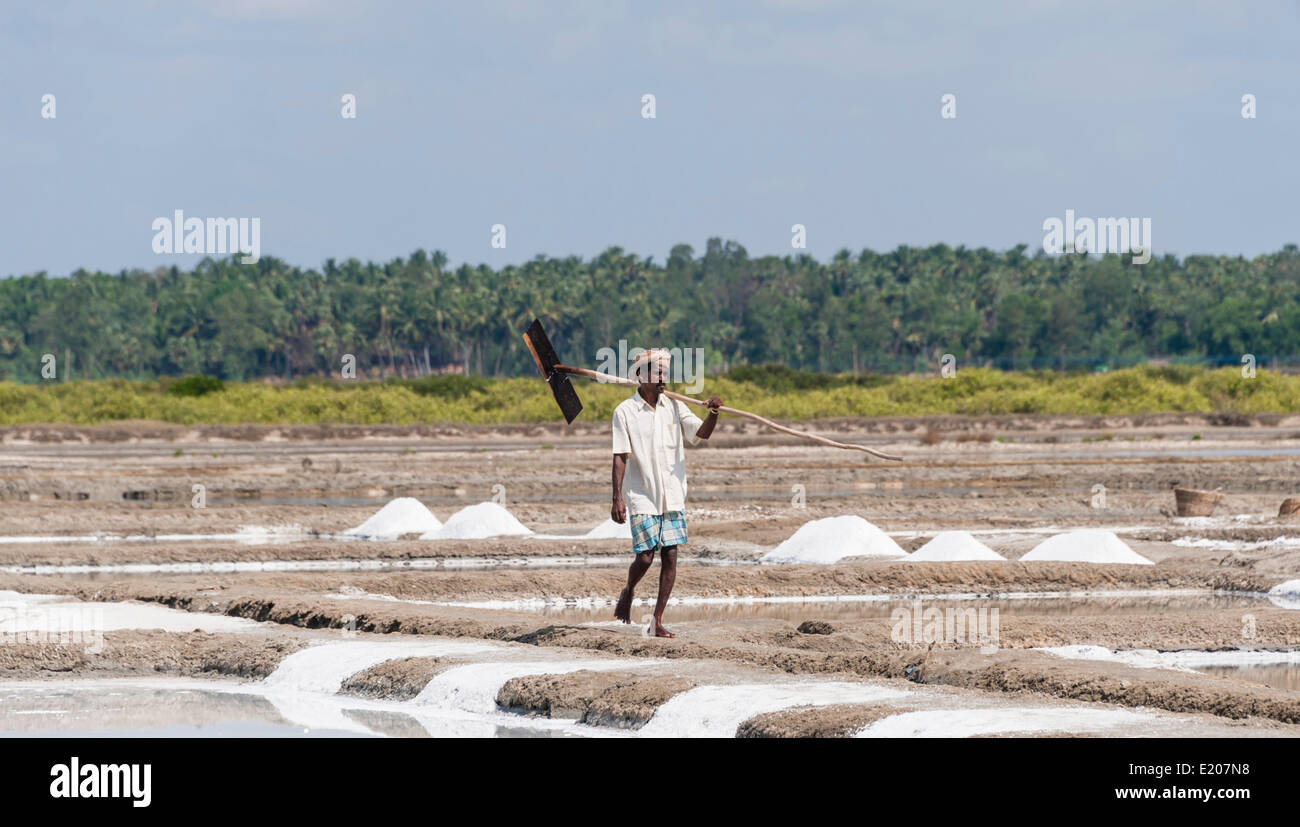 Saline worker, salt production, saltworks, near Thazhankadu, Tamil Nadu ...