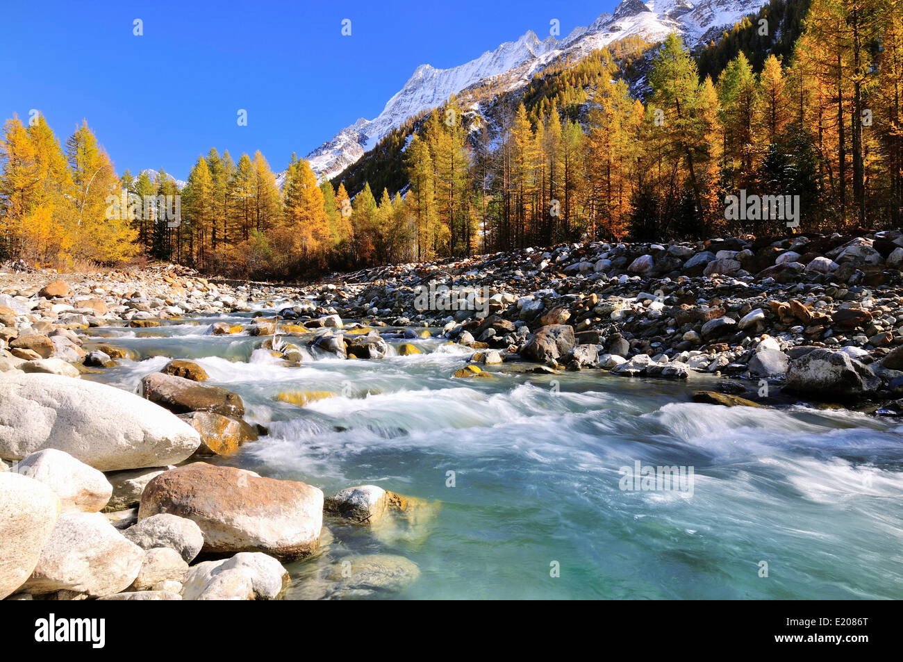 Lonza hi-res stock photography and images - Alamy