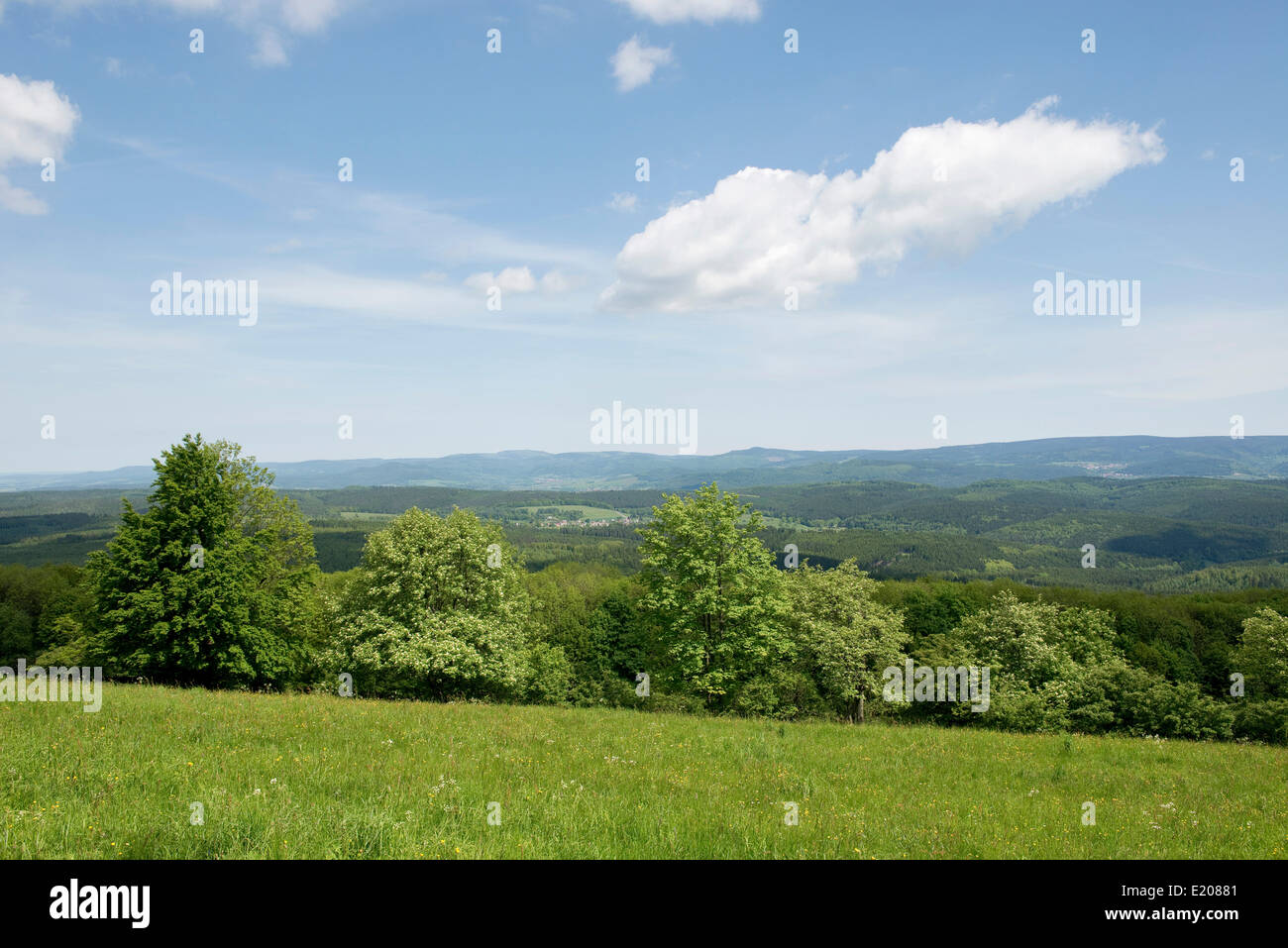 Thuringian forest vacation region hi-res stock photography and images ...