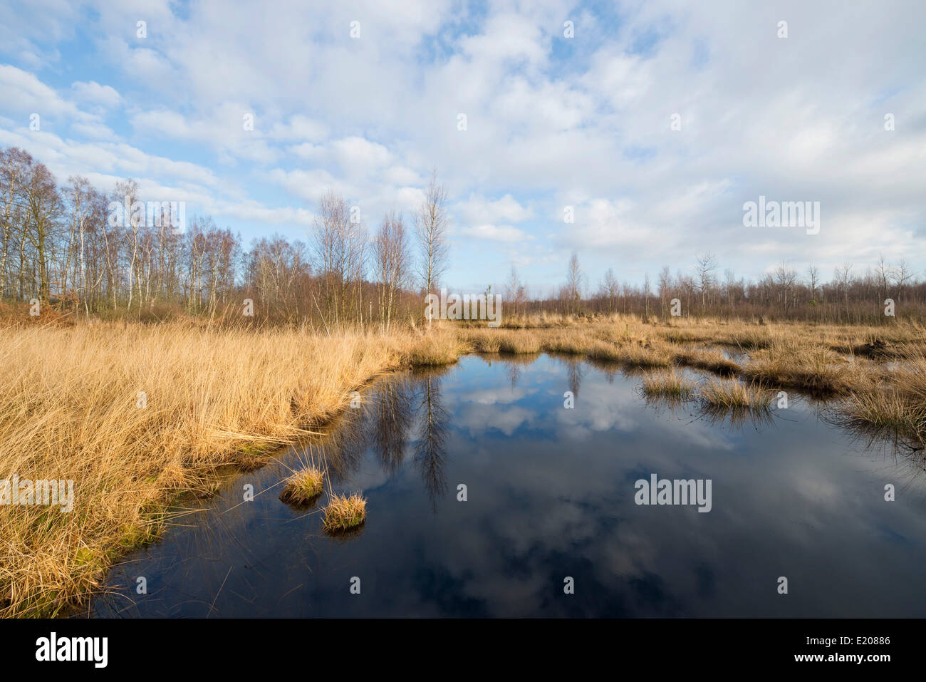 Lower Moors Nature Reserve High Resolution Stock Photography and Images ...