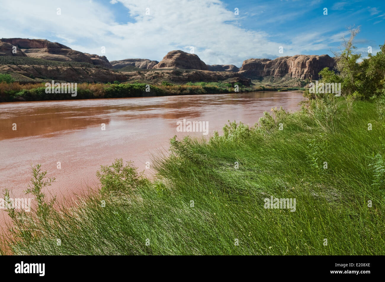 Colorado river water shoreline hi-res stock photography and images - Alamy