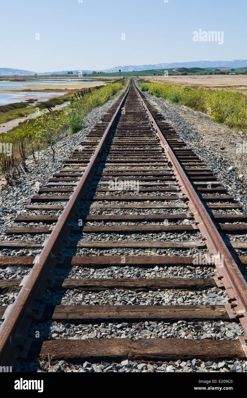 Swamp train tracks hi-res stock photography and images - Alamy