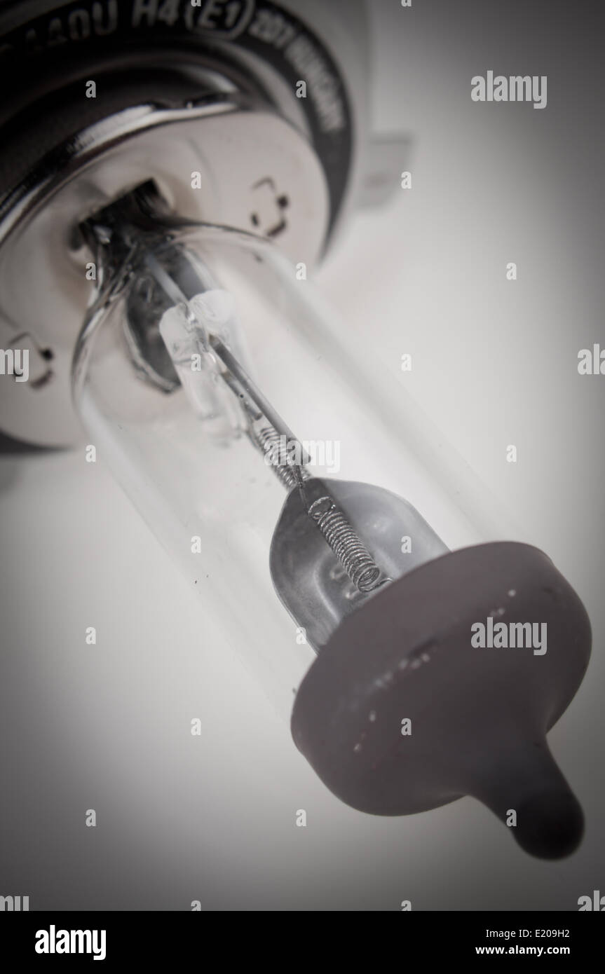 car halogen light bulb Stock Photo - Alamy