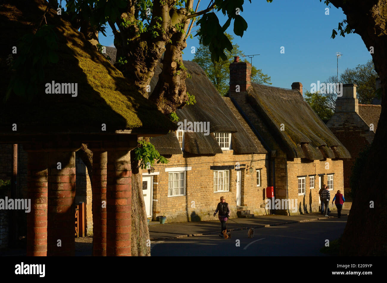 A row of thatched cottages in the village of Exton. Rutland. East ...