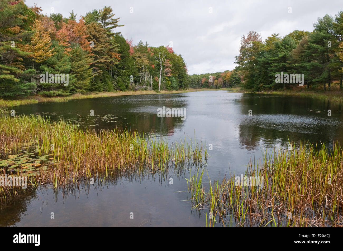 Round pond maine hi-res stock photography and images - Alamy
