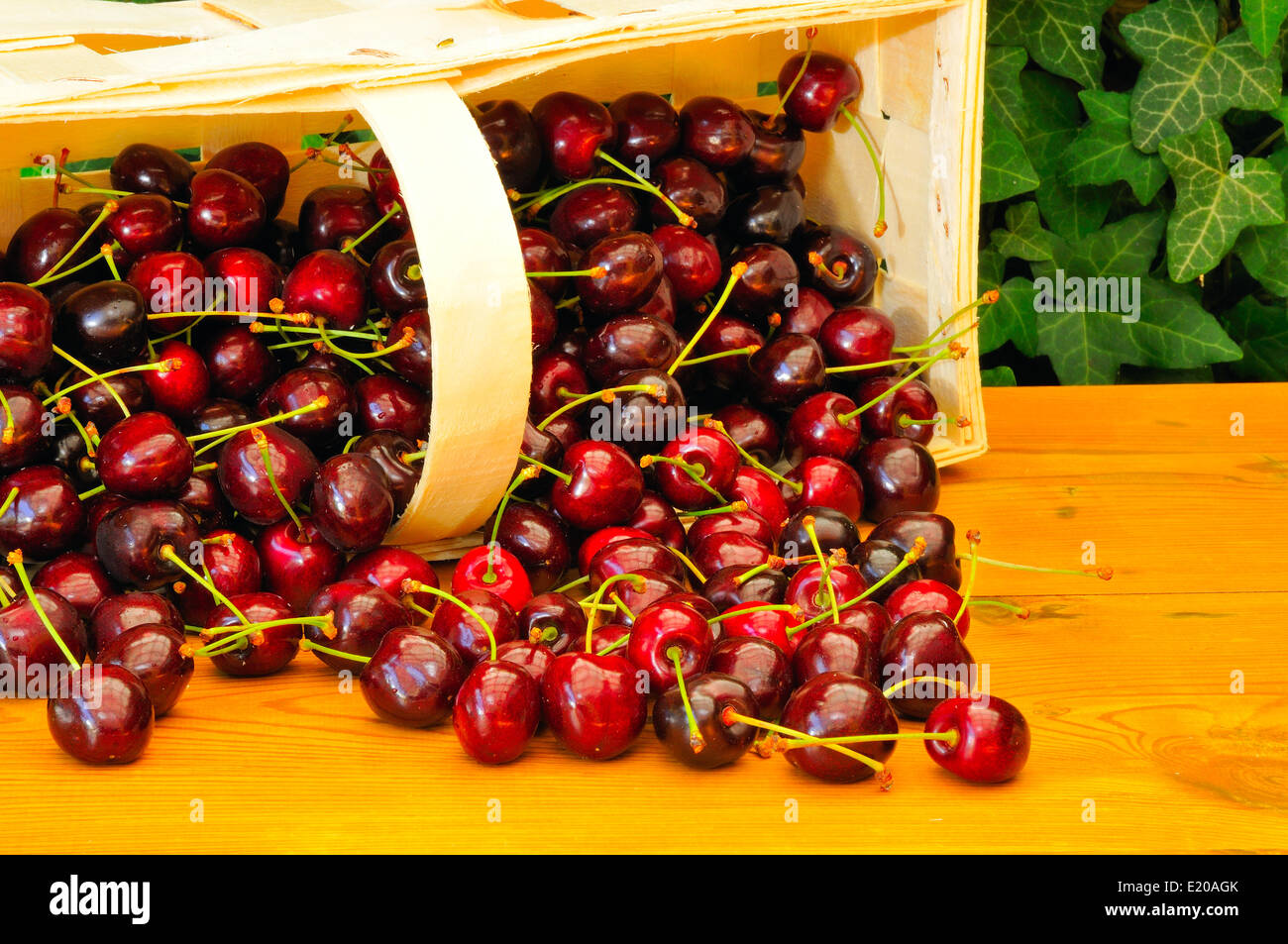 Chge hi-res stock photography and images - Alamy