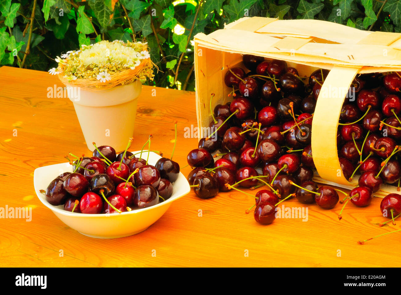 Chge hi-res stock photography and images - Alamy