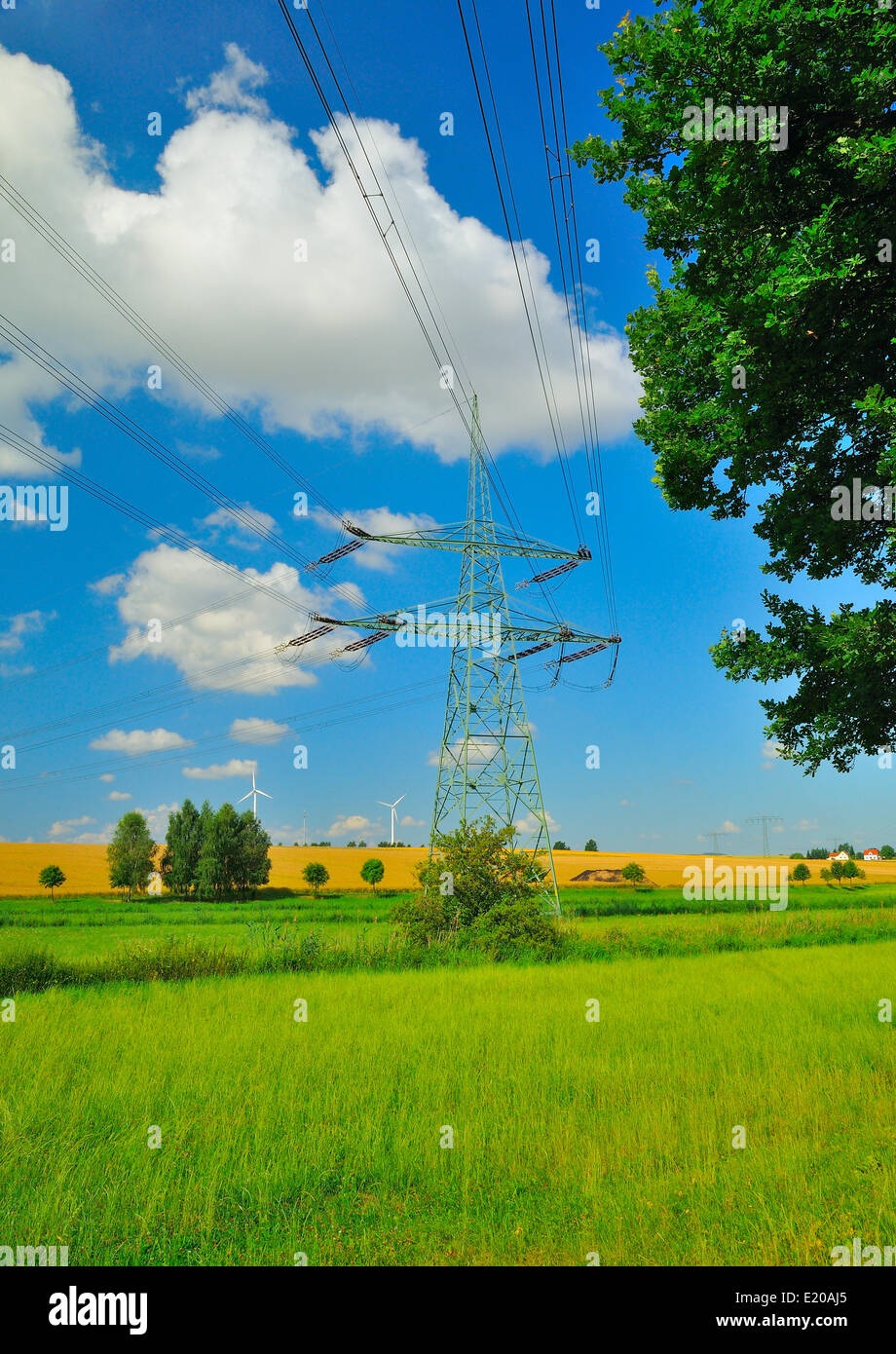 Pylon growth hi-res stock photography and images - Alamy