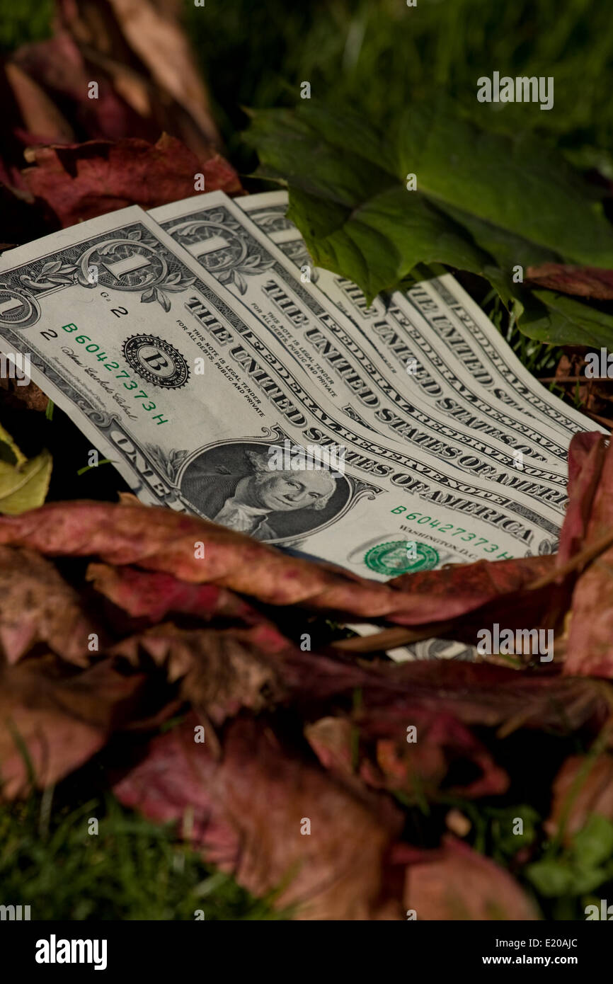 Four dollar bills on a leaf background Stock Photo - Alamy