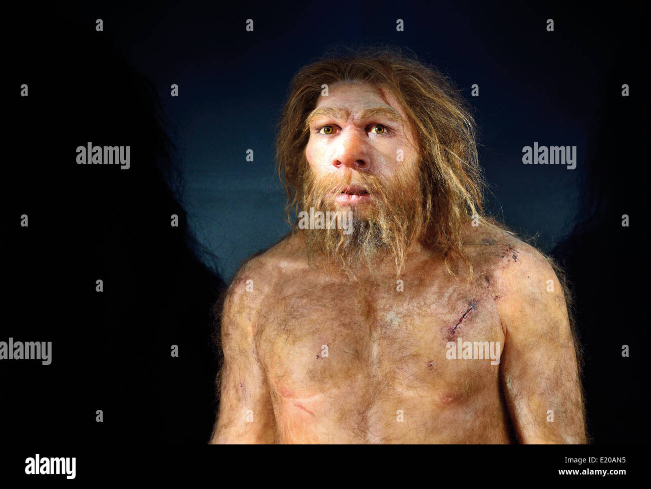 Caveman hi-res stock photography and images - Alamy