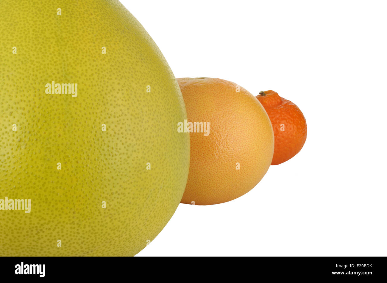 citrus fruits in a row Stock Photo - Alamy