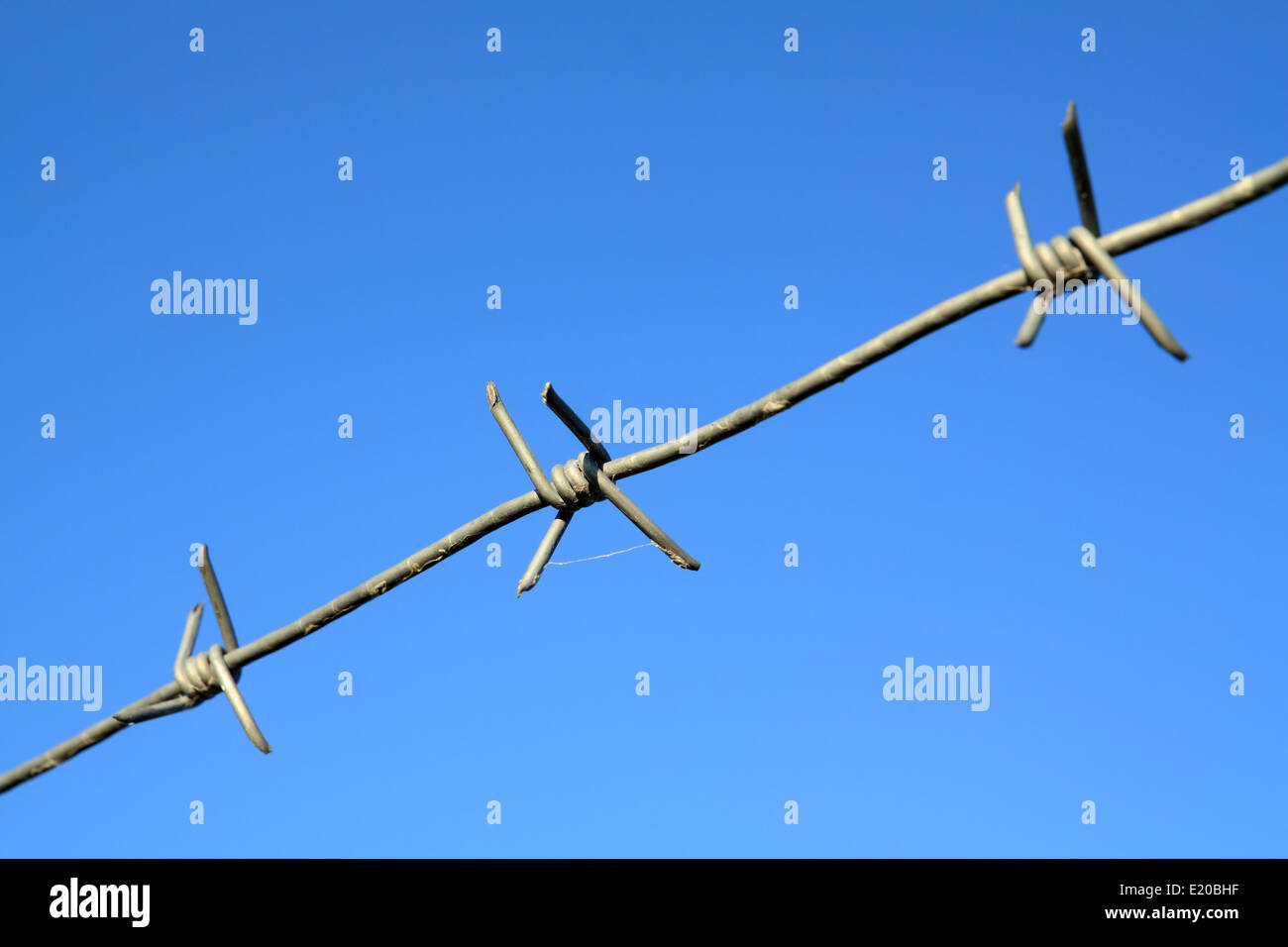 Protected by barbed wire hi-res stock photography and images - Alamy