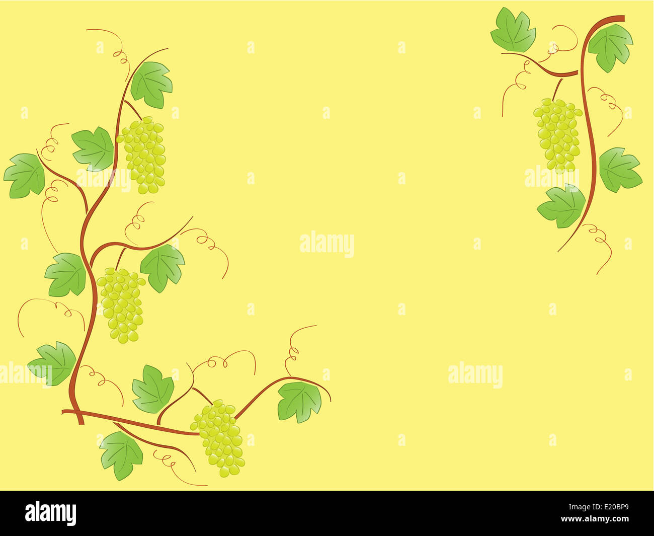 Grape corner hi-res stock photography and images - Alamy