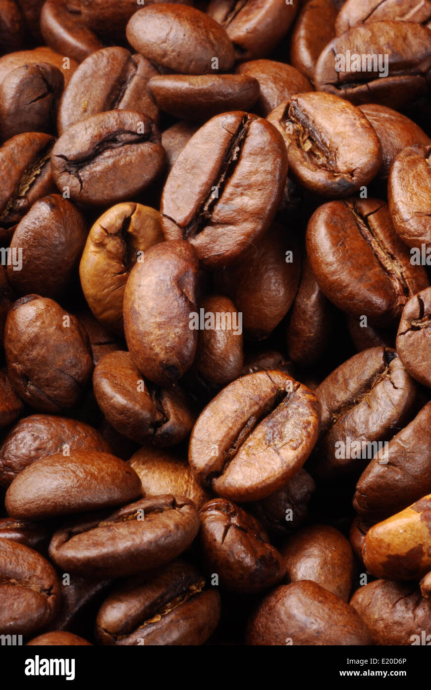 Blue mountain coffee beans hi-res stock photography and images - Alamy