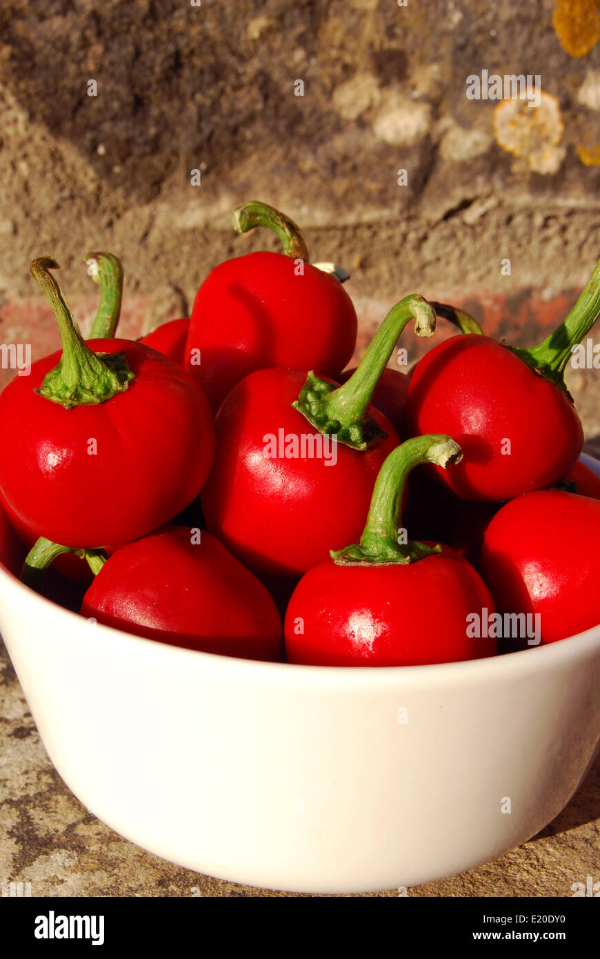 Red cherry chilli peppers hi-res stock photography and images - Alamy