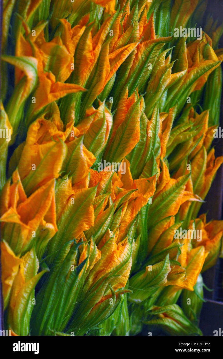 Courgette golden zucchini hi-res stock photography and images - Alamy