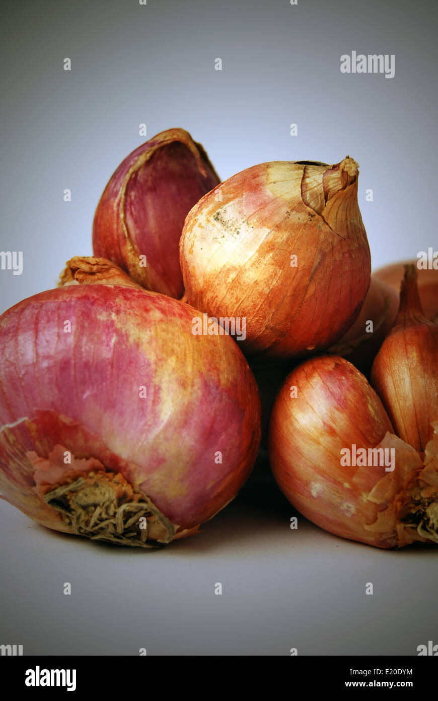 French shallots hi-res stock photography and images - Alamy