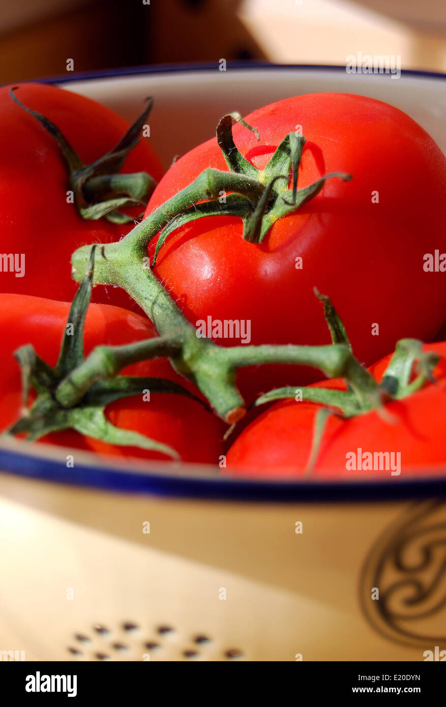 English tomatos hi-res stock photography and images - Alamy