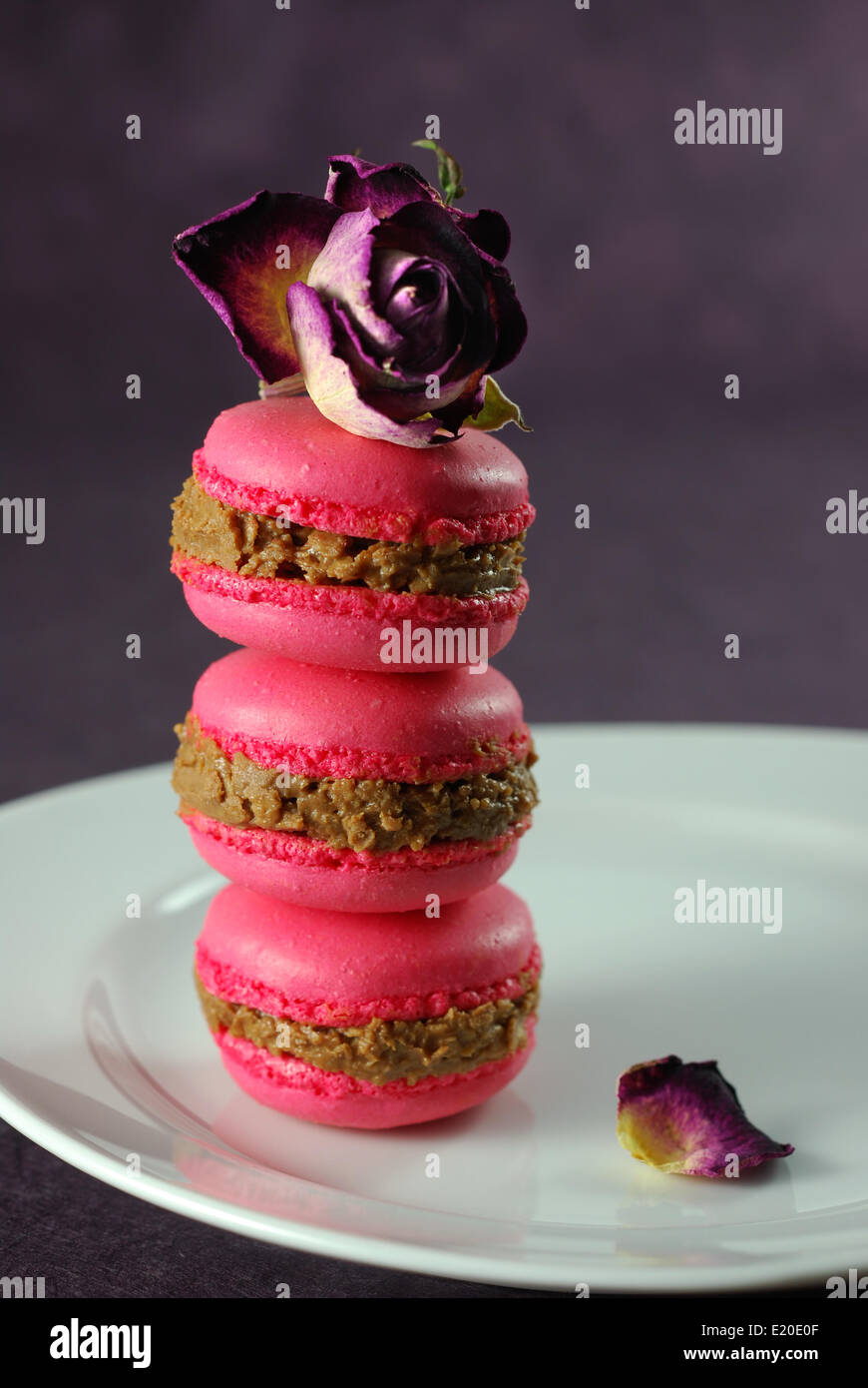 Macaroon and rose Stock Photo - Alamy
