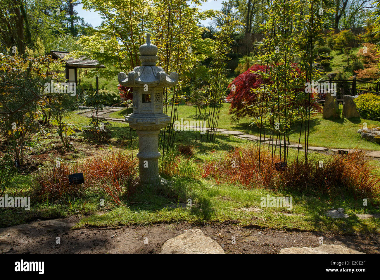 Japanese Garden with maple trees Stock Photo - Alamy