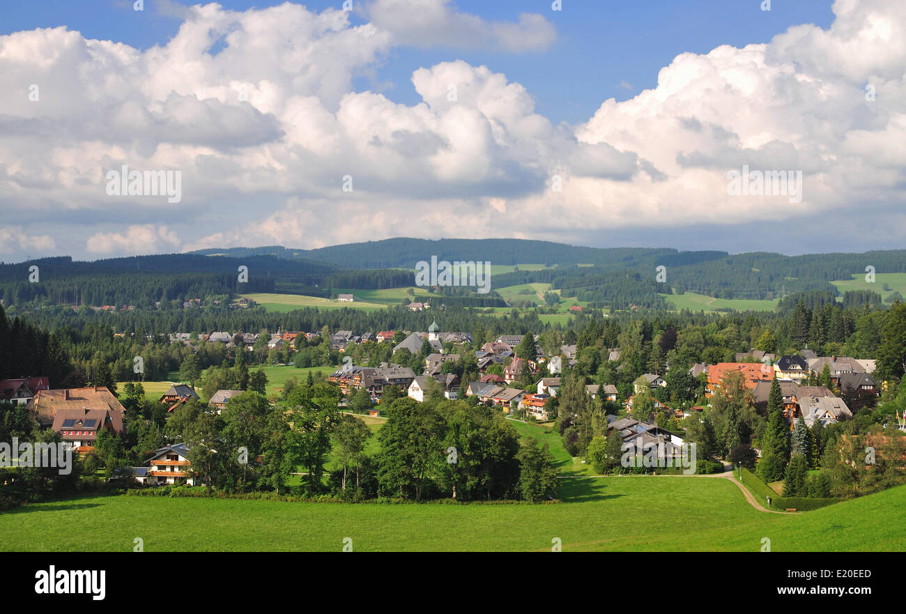 Europa hinterzarten hi-res stock photography and images - Alamy