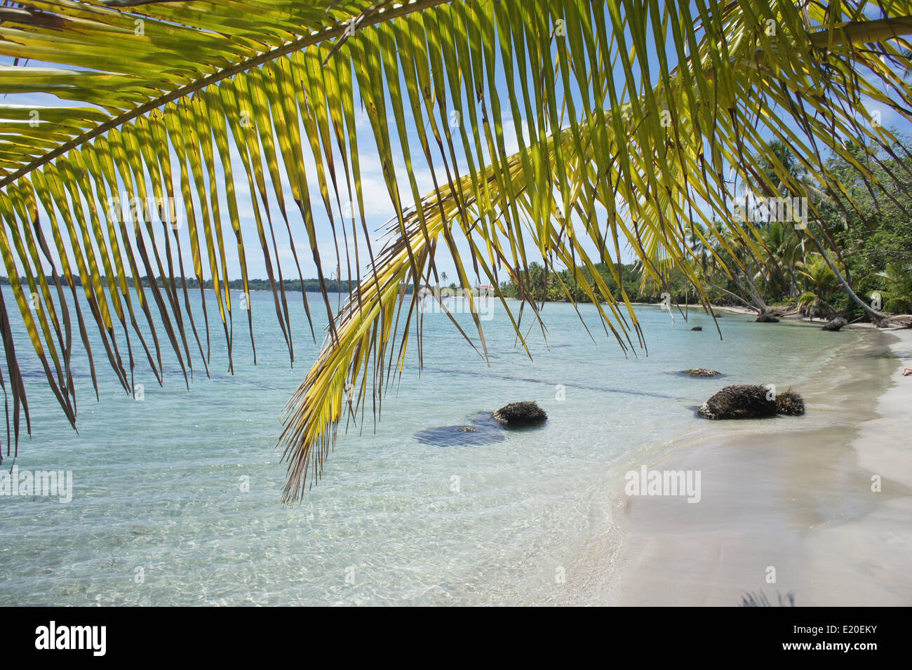 perfect natural carrbbean beach in costa rica Stock Photo - Alamy