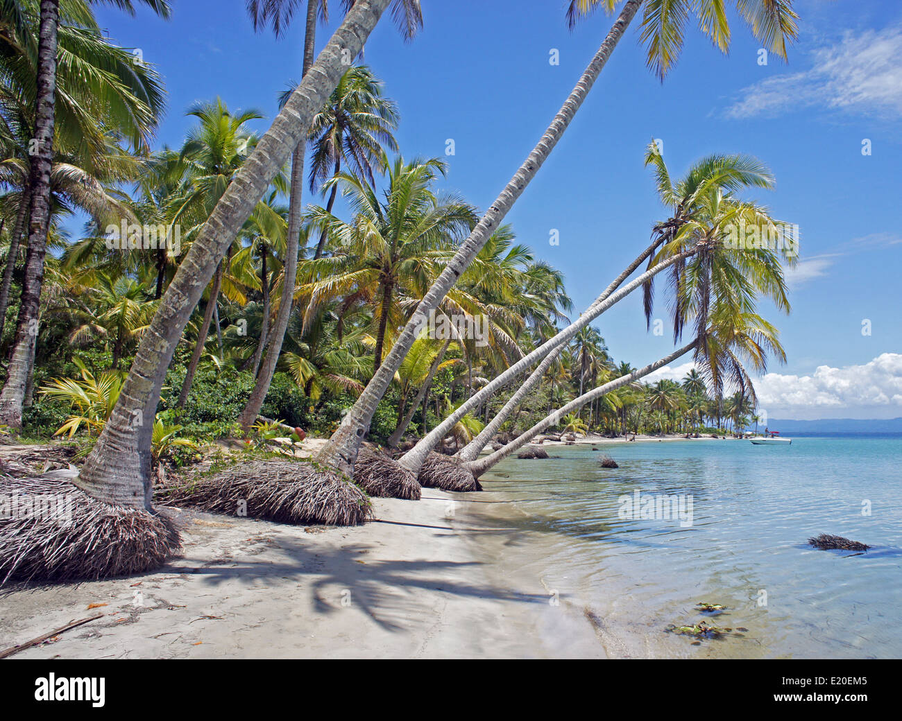 Costa rica wallpaper hi-res stock photography and images - Alamy