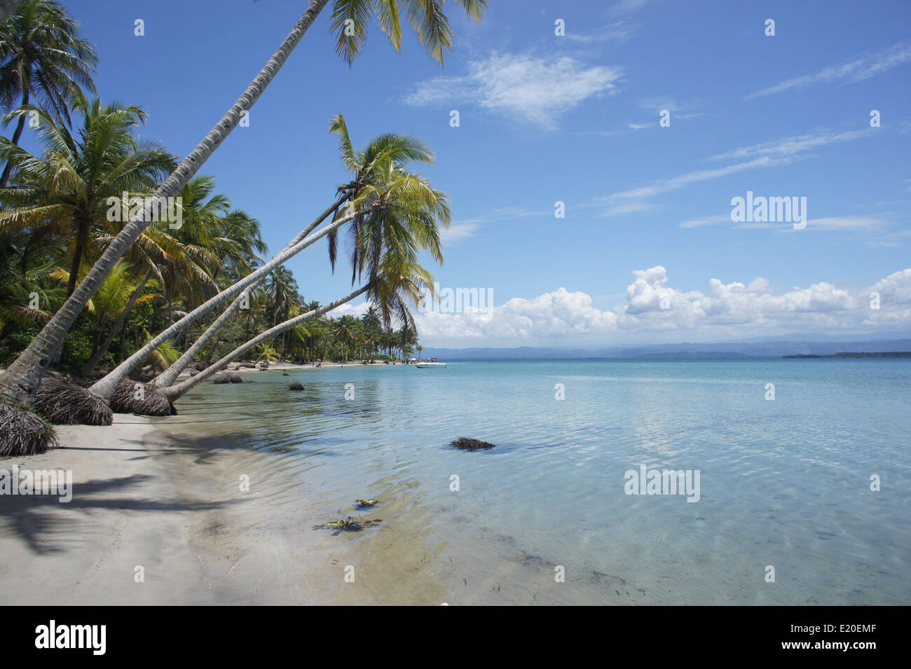 perfect natural carrbbean beach in costa rica Stock Photo - Alamy