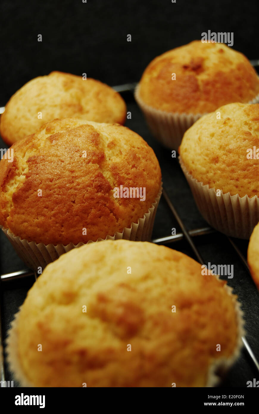 Muffin x 6 Stock Photo - Alamy