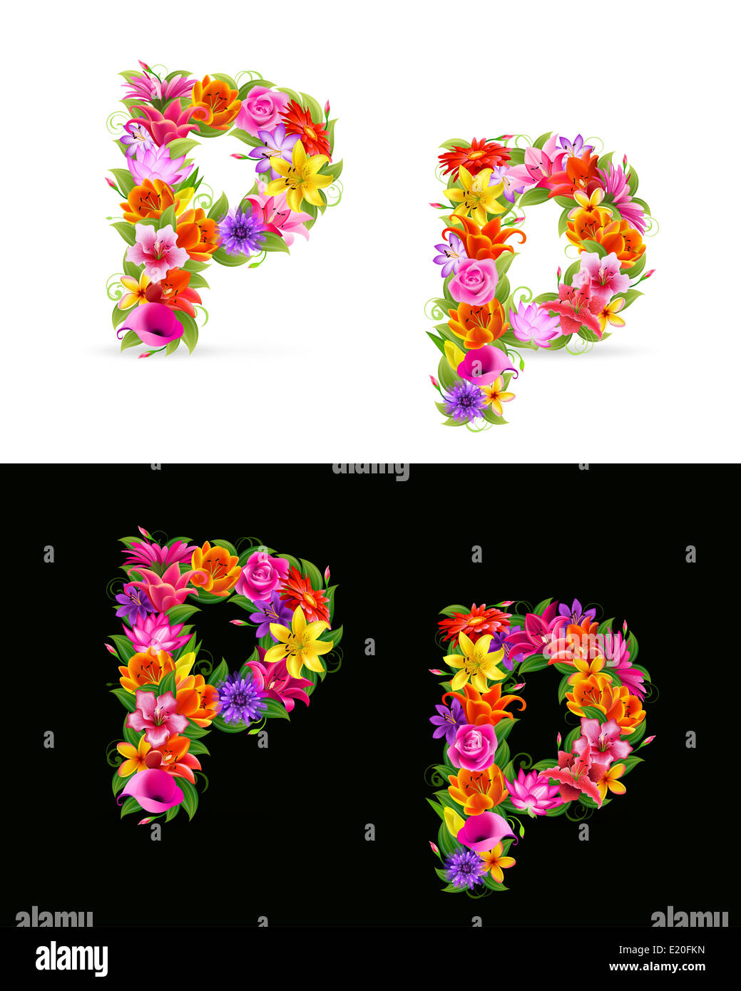 Lily font hi-res stock photography and images - Alamy