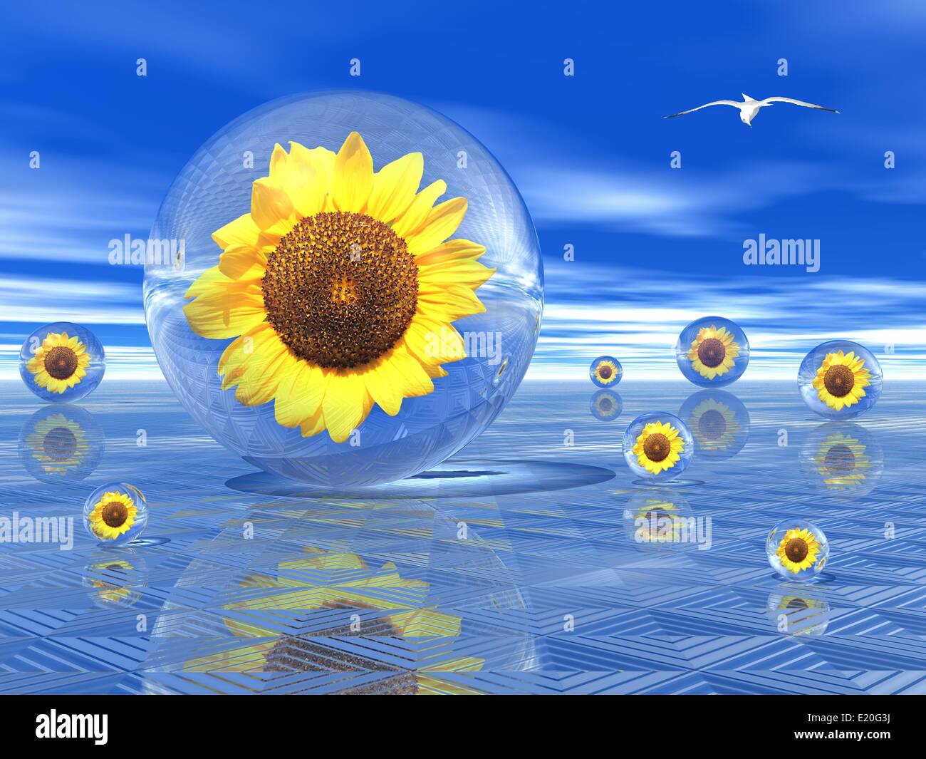 Sunflowers in bubbles Stock Photo - Alamy
