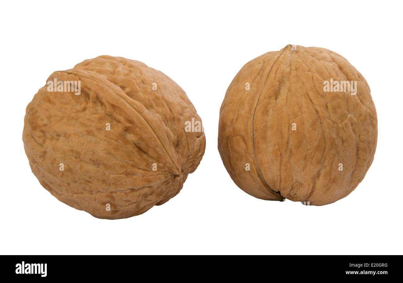 two whole walnuts Stock Photo - Alamy