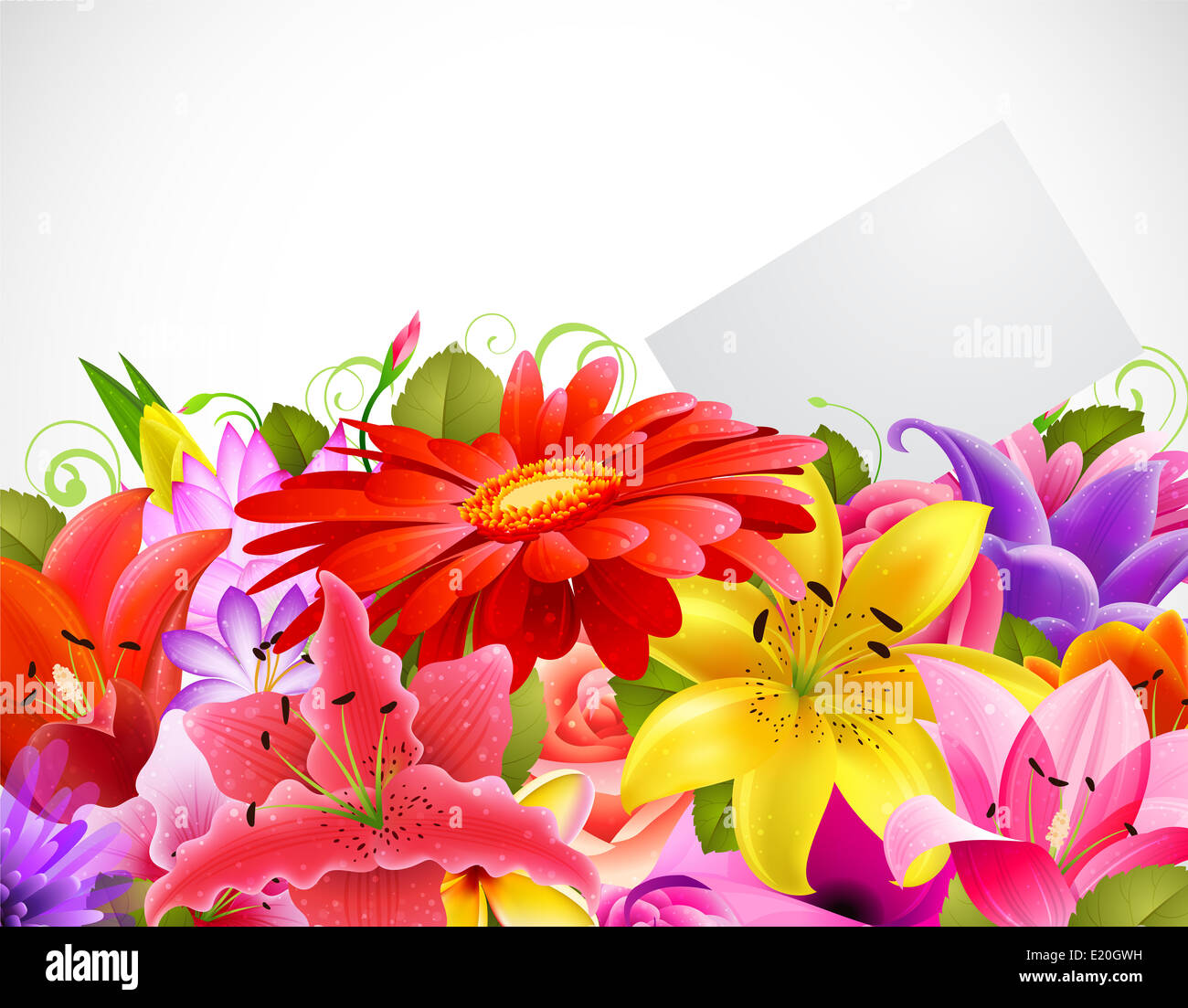 bouquet of tender flowers Stock Photo - Alamy