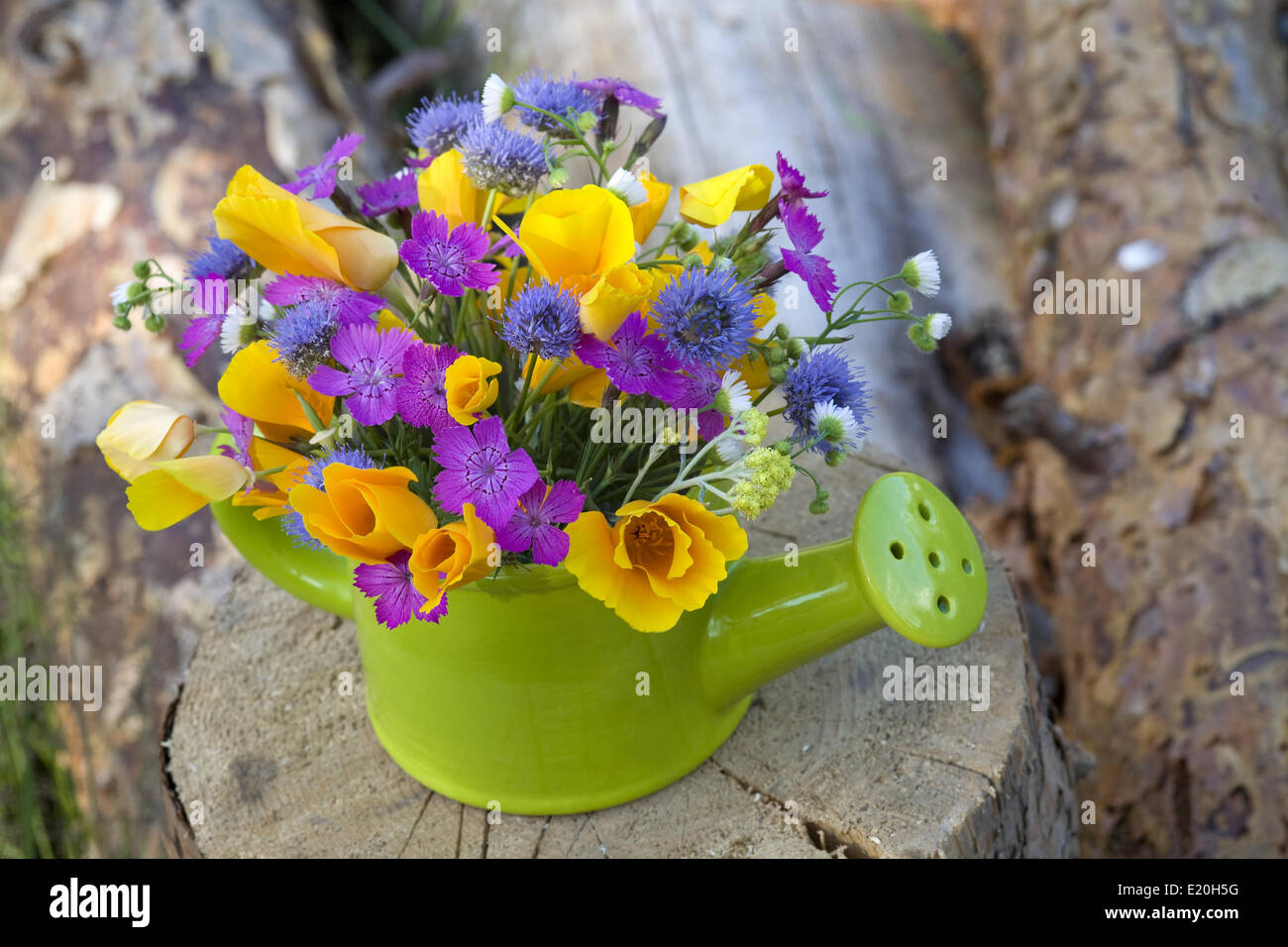 bunch of wild flowers Stock Photo - Alamy