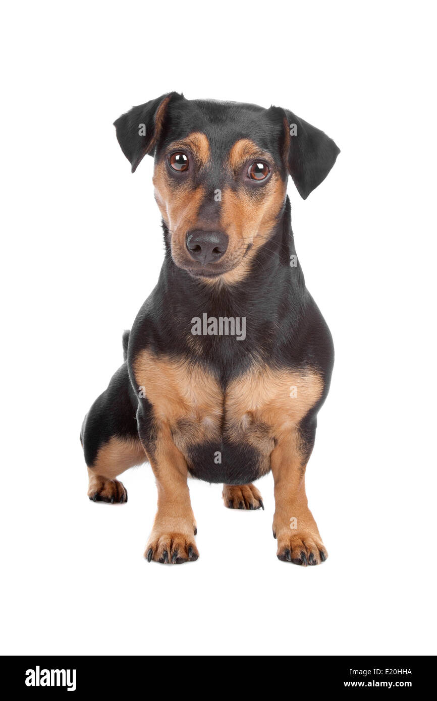 Russel smart hi-res stock photography and images - Alamy