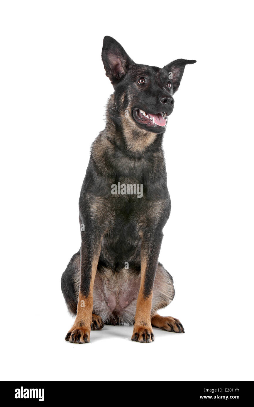 Dutch coat Cut Out Stock Images & Pictures - Alamy