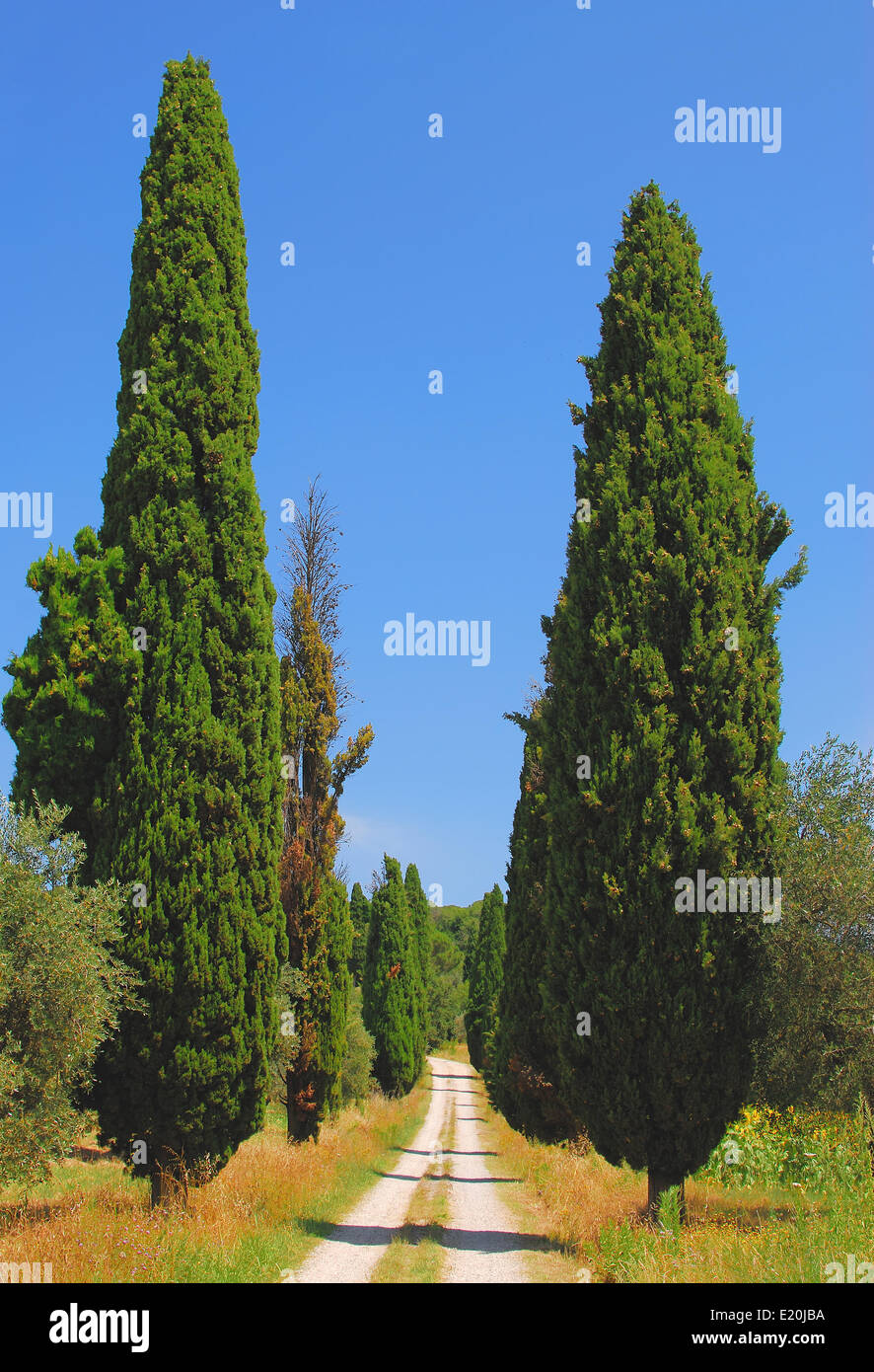 What to do in italy hi-res stock photography and images - Alamy