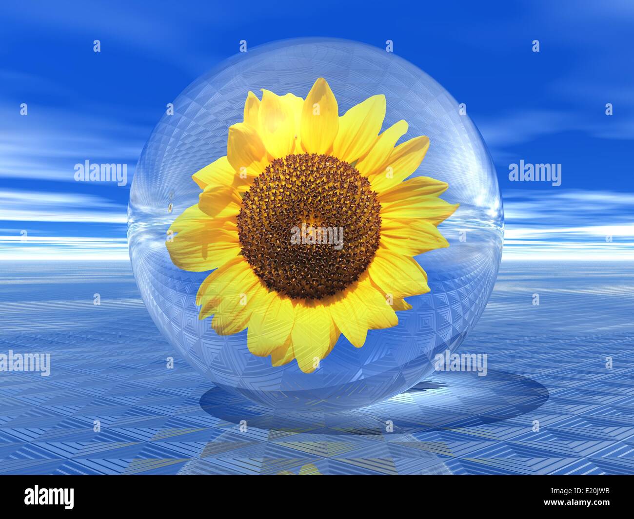 Sunflower in a bubble Stock Photo - Alamy
