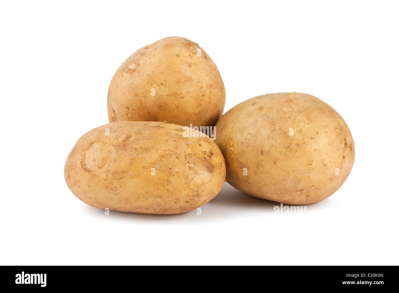 Three root hi-res stock photography and images - Alamy