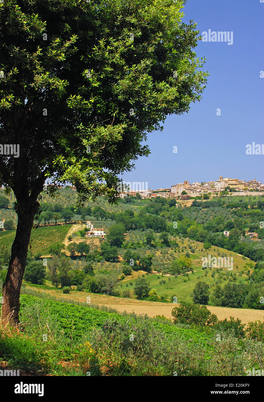 Montefalco hi-res stock photography and images - Alamy