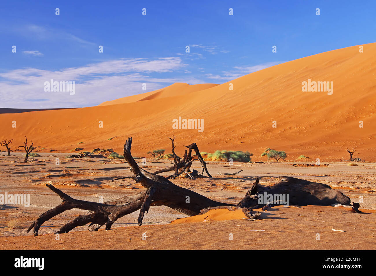 Dead Vlei, Namib-Desert, Namibia Stock Photo - Alamy