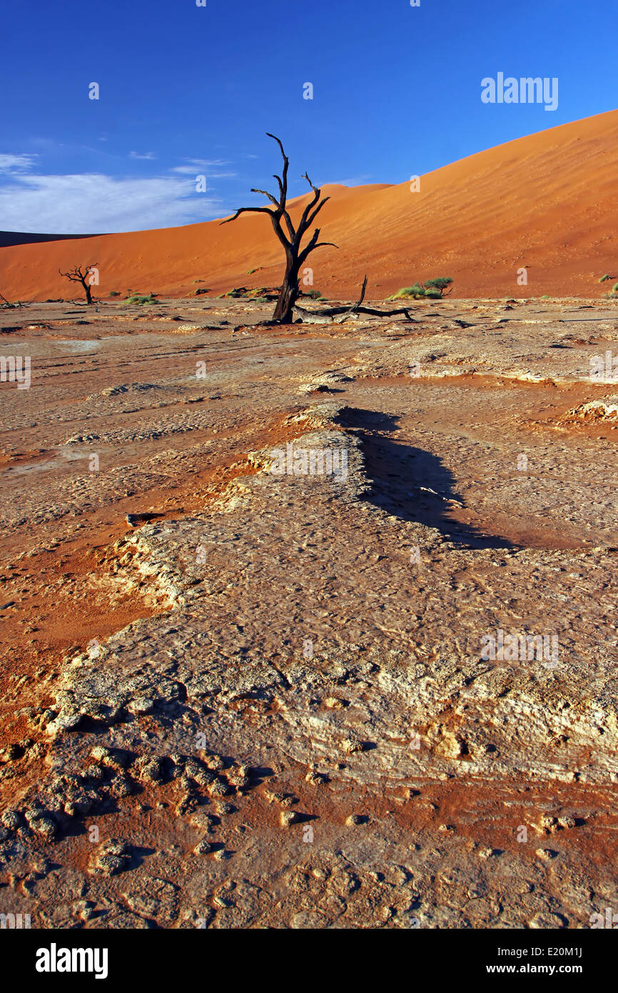 Dead Vlei, Namib-Desert, Namibia Stock Photo - Alamy