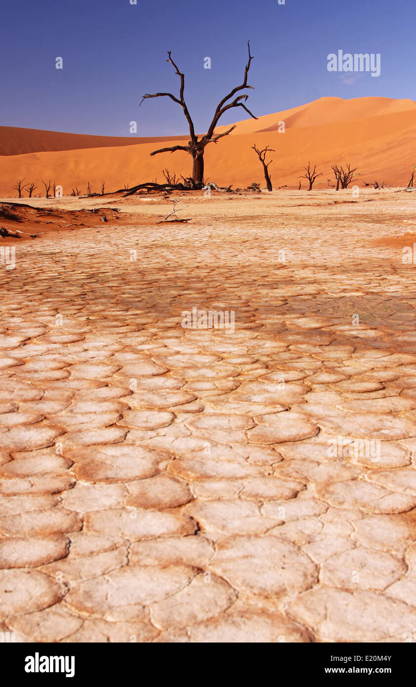 Dead Vlei, Namibia, Namib-Desert Stock Photo - Alamy