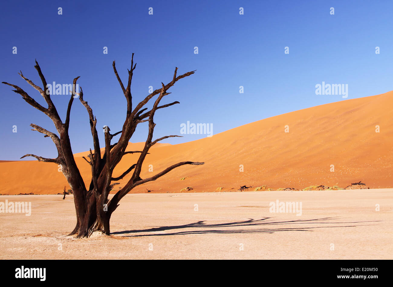 Dead Vlei, Namibia, Namib-Desert Stock Photo - Alamy